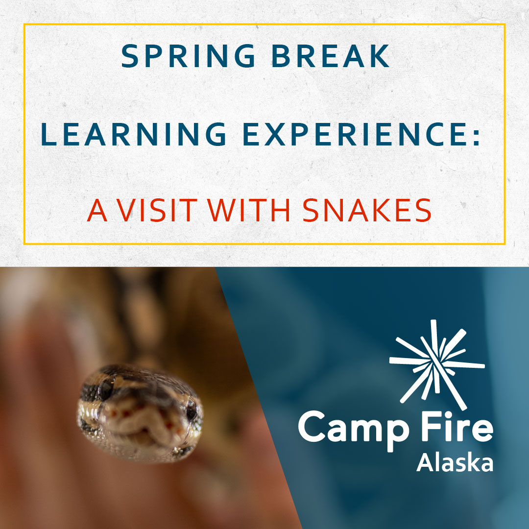 Spring Break Learning Experience: A Visit With Snakes - Camp Fire Alaska